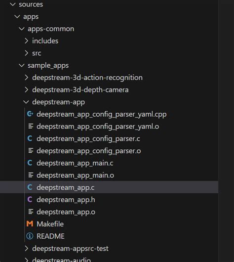 the pipeline crashes after i add my custom function to gie processing