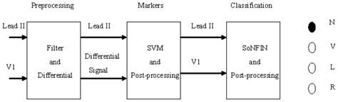 stages of an automatic classifying system download scientific diagram