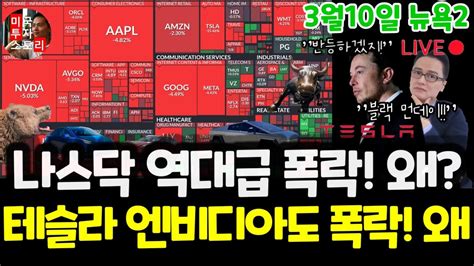 미국주식시황오늘 왜 폭락했나 테슬라 역대급 폭락 엔비디아도 폭락 왜 구글 애플 아마존 메타 마이크로소프트 팔란티어 아이온큐 리게티 Smci Lly등 Tsla