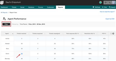 Teller Performance Evaluations E Amples Agent Performance Report