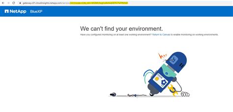 Why Do I See The Message We Cant Find Your Environment In Bluexp