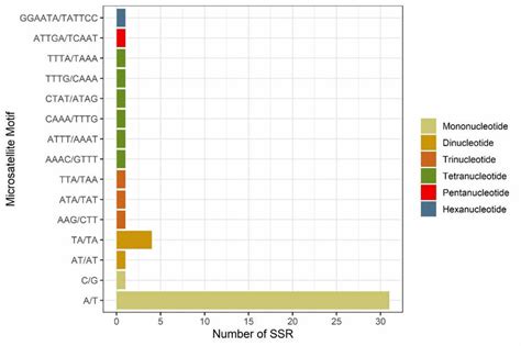 Simple Sequence Repeat Ssr Number And Motif In The S Muricatum Cp