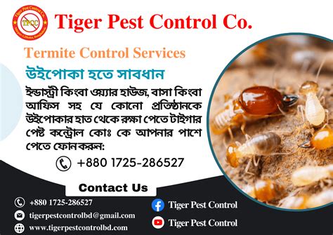 About Us Tiger Pest Control Co