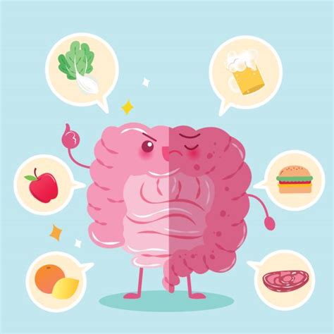 Duodenum Cartoon Illustrations Royalty Free Vector Graphics And Clip Art