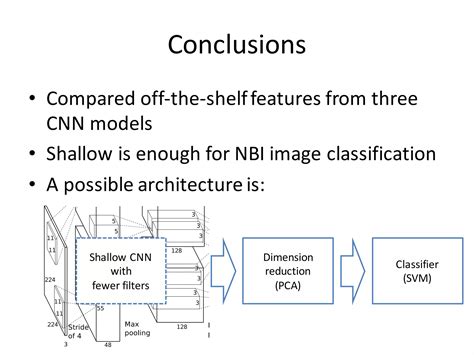 Computer Aided Colorectal Tumor Classification In Nbi Endoscopy Using Cnn Features Fcv2016 Ppt