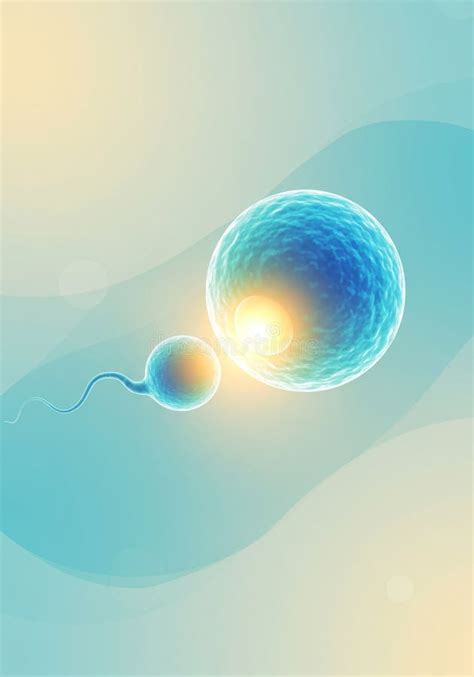 Human Egg Cell Fertilization By Sperm Microscopic View Of Conception