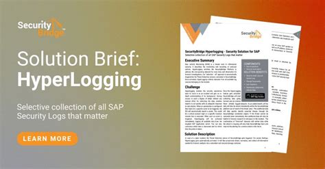 Sapsecurity Hyperlogging Saplogs Sapaudit Sapauditlogs