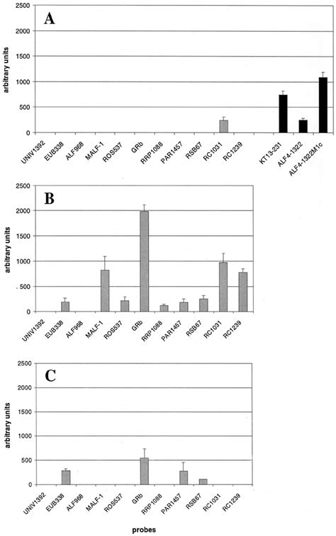 Signal Patterns After Microarray Hybridization Of Ampli Fi Ed 16s Rdna