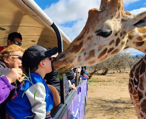 Out Of Africa Wildlife Park Updated August 2024 1586 Photos And 595