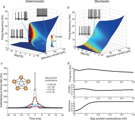 figures and data in stochastic and deterministic dynamics of