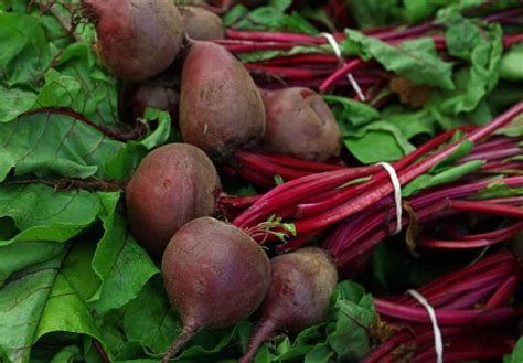 Canned Beetroot Vs Fresh Whats The Difference Eat Your Beets