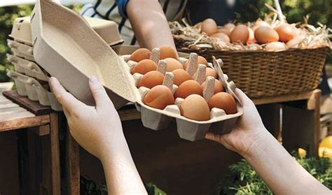 Remaking A Classic Packaging Design Inc Everand