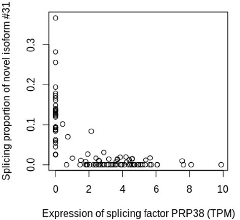 Novel Isoform Splicing Versus Spliceosome Component Expression Download Scientific Diagram