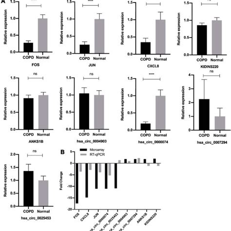 validation of microarray data by rt qpcr a relative expression