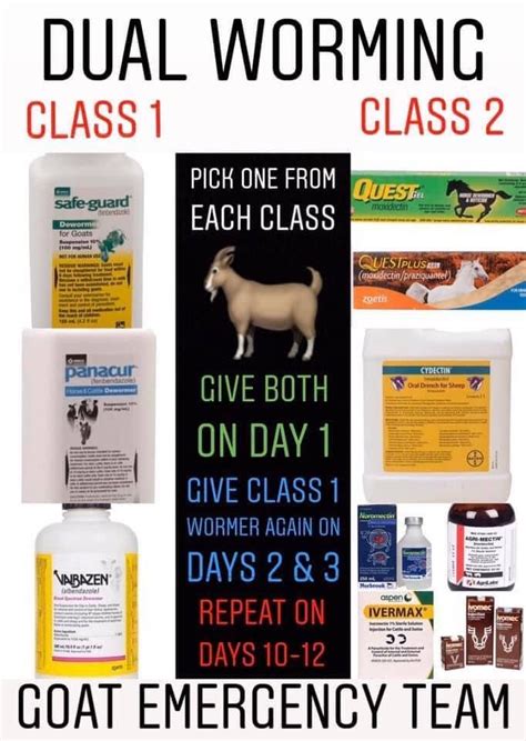 What Is The Best Wormer For Goats Omari Has Duffy