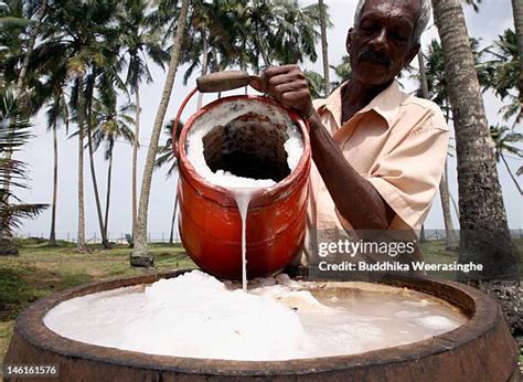 Toddy Palm Wine Photos And Premium High Res Pictures Getty Images
