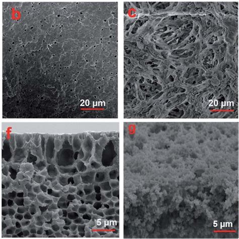 The Solubility Parameters Of Dmac Water Pvdf Dmf Dmso And Nmp