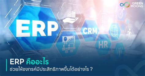 Erp คืออะไร ช่วยให้องกรค์มีประสิทธิภาพขึ้นได้อย่างไร Greenmoons