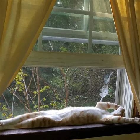 His Favorite Spot Raw