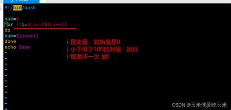 Shell 脚本循环语句 Shell循环10次 Csdn博客