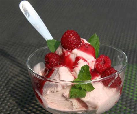 Sladoled Sa Malinama — Brzi Kolači