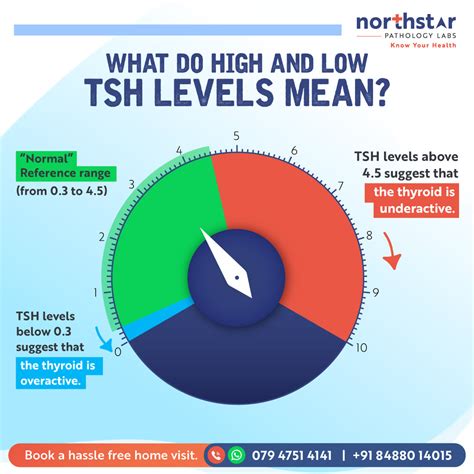 Tsh Levels What Do High And Low Levels Mean 52 Off
