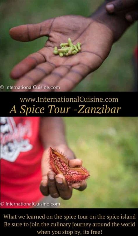 A Spice Tour On The Spice Island A Journey To Zanzibar