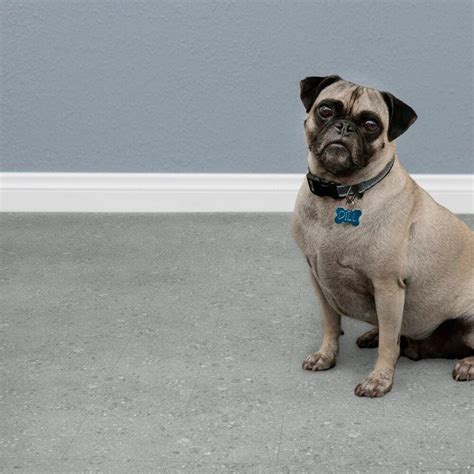 Dal Tile Assemble Proxy 12 X 24 Porcelain Tile