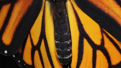 Skybox Security On Linkedin Download The Paper