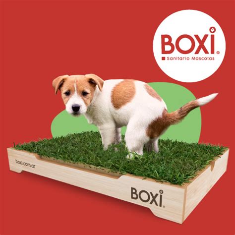 Boxi Sanitario Mascotas Mapfre Tecuidamos