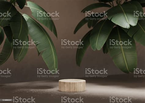 돌 연단 디스플레이와 3d 배경 열대 야자수 잎과 녹색 배경에 그림자자연 바위 받침대 화장품 미용 제품 프로모션은 식물과 함께 서 있습니다 스튜디오 3d 렌더 일러스트레이션