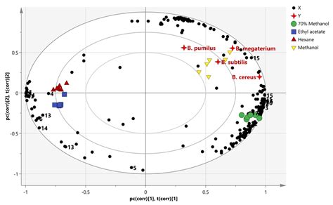 the pls biplot describing the correlation among the phytochemical