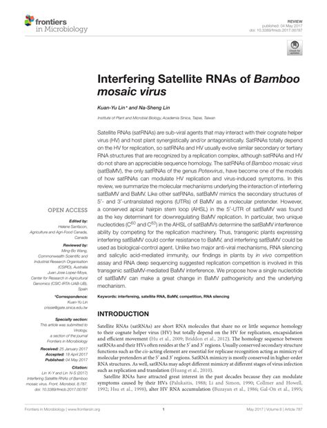 Pdf Interfering Satellite Rnas Of Bamboo Mosaic Virus