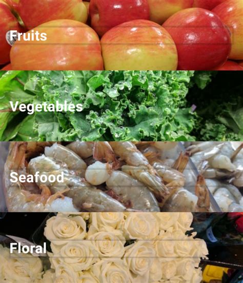 Jetpack Compose Text Shadows Handstand Sam