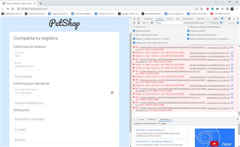 error en la consola y al momento de levantar servidor js en la web validación de formularios