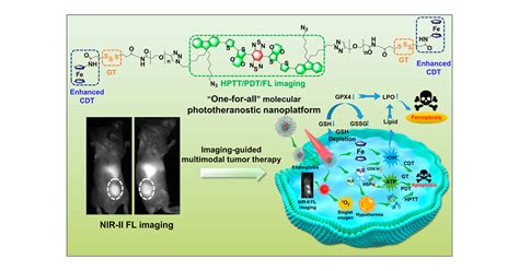 Tumor Microenvironment Responsive One For All Molecular Engineered Nanoplatform Enables Nir Ii