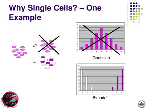 Ppt Exploring Single Cell Variability Understanding The Role Of Noise In Biological Systems
