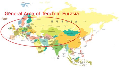 Create A Movies Ive Watched Tier List Tiermaker