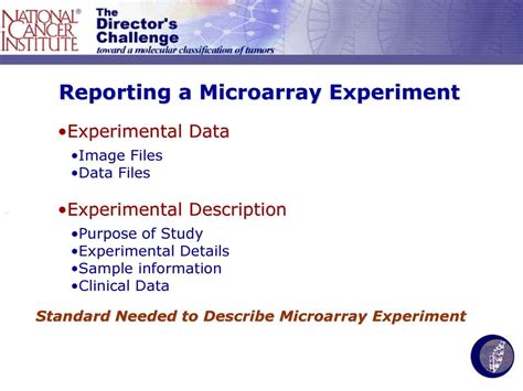 Director S Challenge It Overview Ppt Download