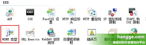 iis 无后缀（无扩展名）的mime类型配置 dbmng数据库管理与应用网