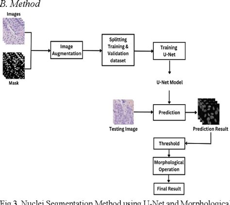 Figure 3 From Nuclei Segmentation Using Unet On Breast Hematoxylin And Eosin Stained