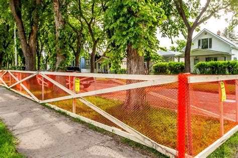 How Do You Find The Root Protection Area Of A Tree