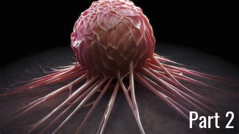 CANCER Could Cancer Be A Metabolic Disease Part
