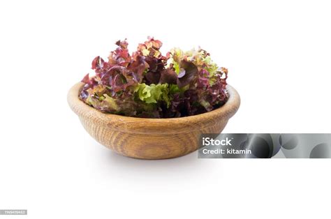 양상추는 나무 그릇에 나뭇잎 평면도 양상추 흰색 배경에 고립입니다 텍스트에 대 한 복사 공간이 있는 빨간색 양상추 0명에 대한 스톡 사진 및 기타 이미지 Istock