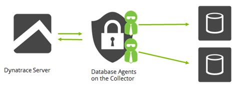 Database Agent Configuration Appmon Documentation