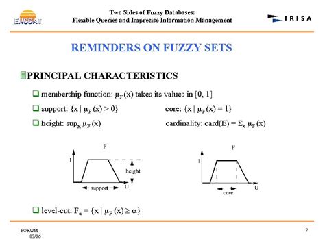 Two Sides Of Fuzzy Databases Flexible Queries And