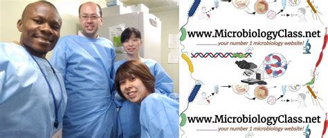 Pasteurization Microbiology Class