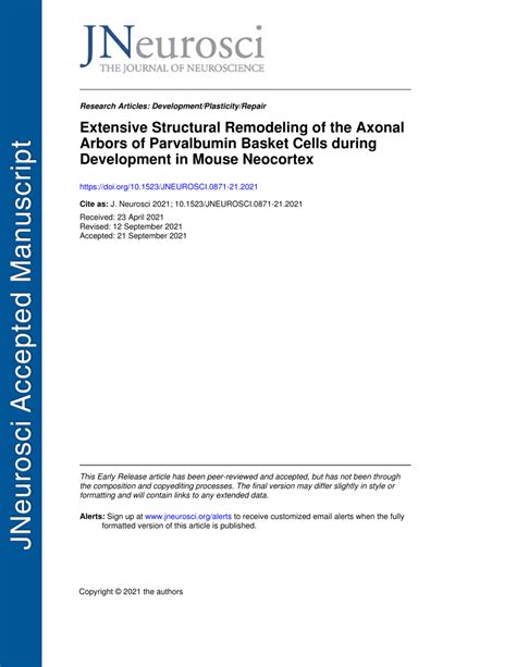 Pdf Extensive Structural Remodeling Of The Axonal Arbors Of