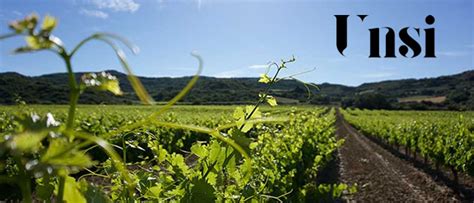 Unsi Wines - Bodegas - Buscador Infovinos
