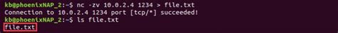 nc netcat command syntax command options and examples
